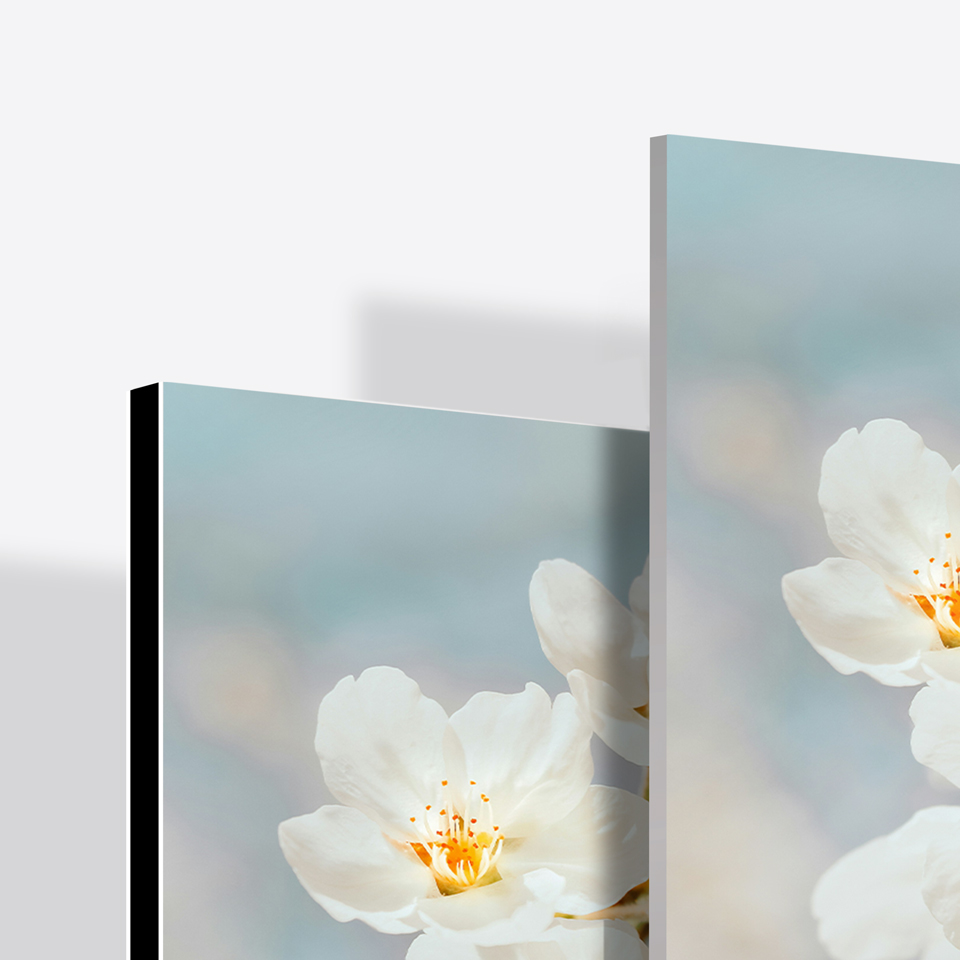 Aluminum vs Dibond Signs (Differences & Comparison)