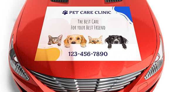 Custom Car Hood Decals & Graphics