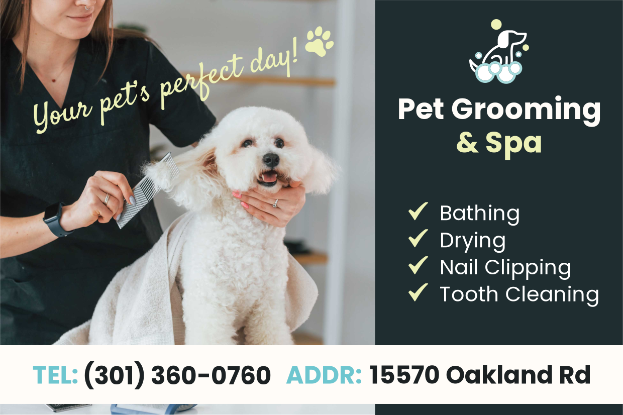 Pet Grooming and Spa Sign Template | Square Signs