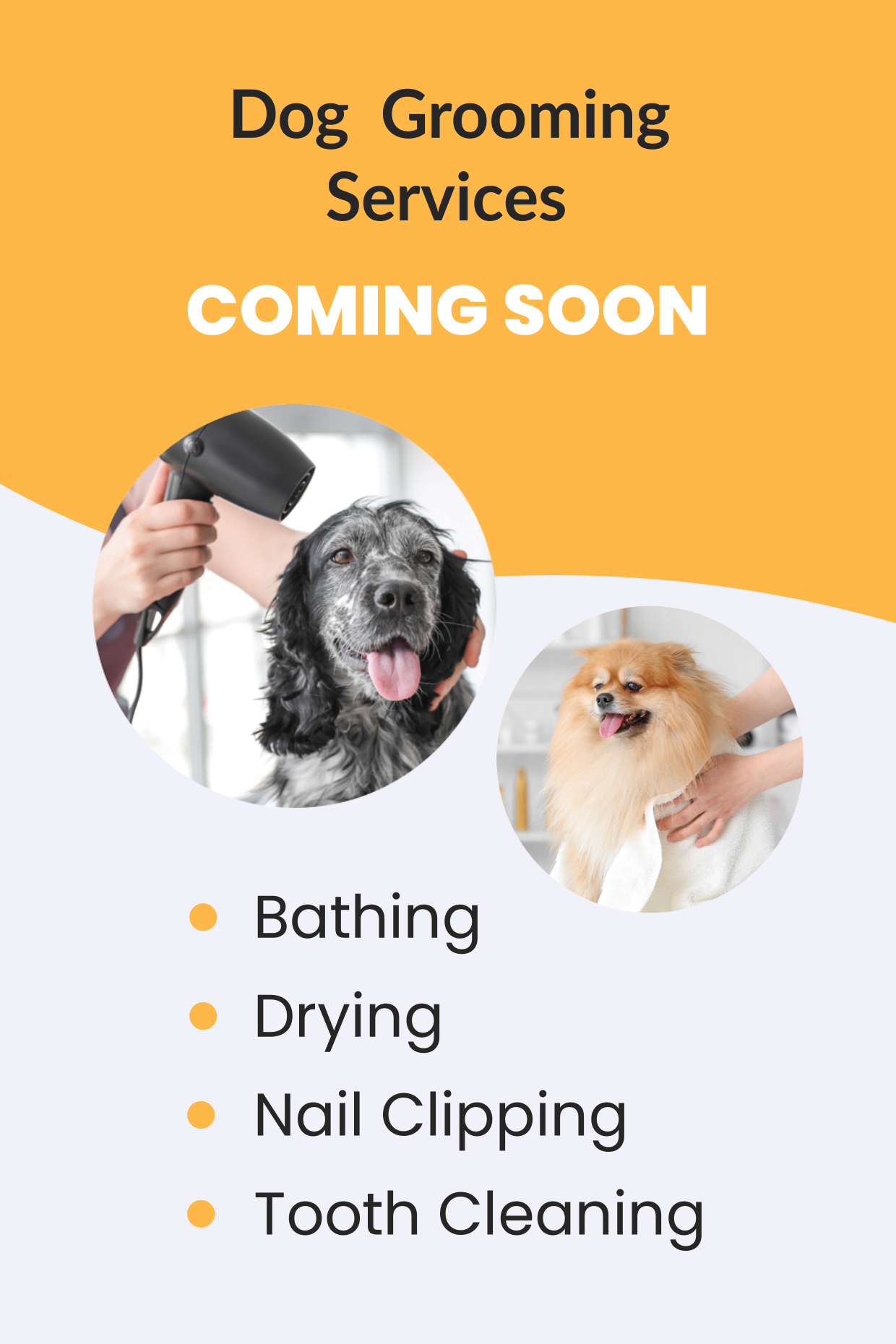 Two-Colored Dog Grooming Services Sign Template | Square Signs