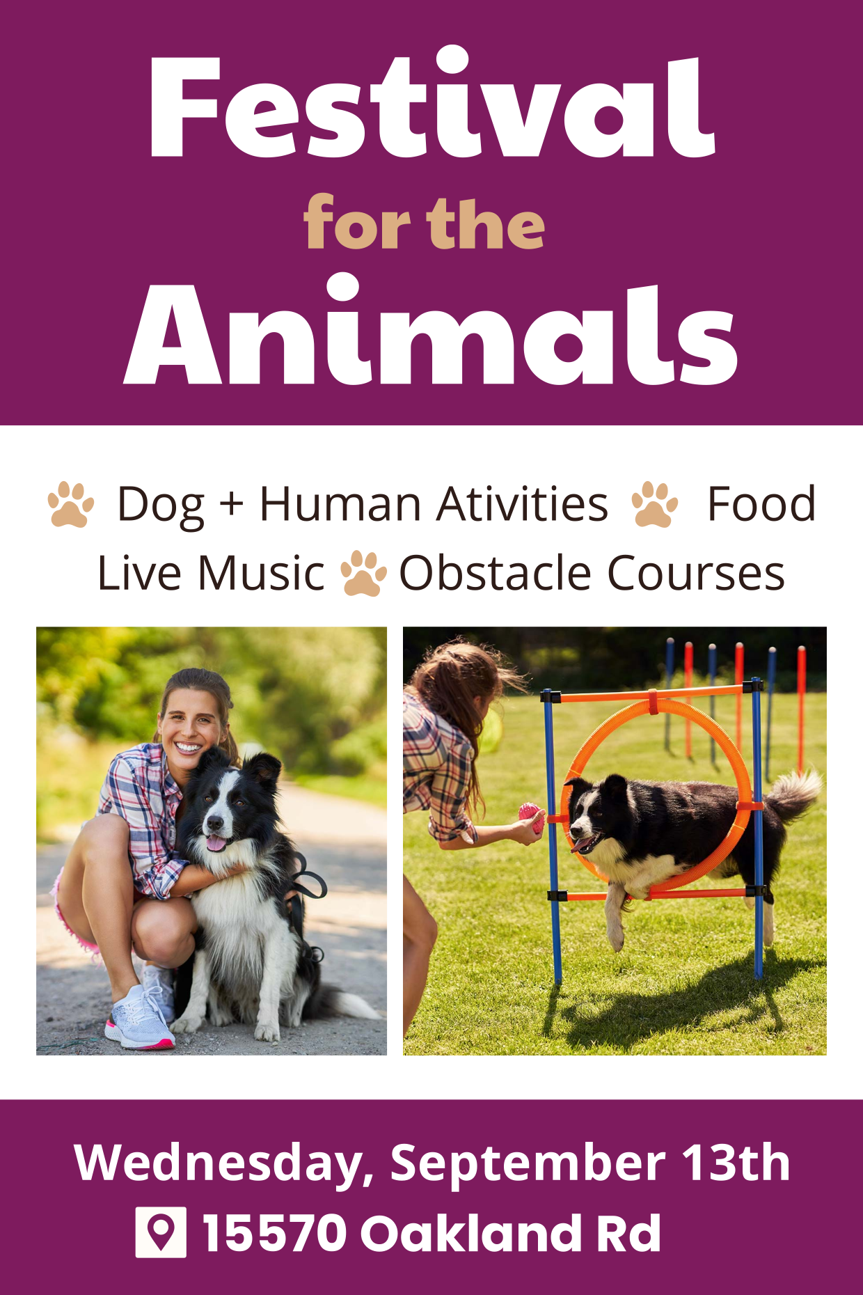 Dog Training With Owner Animal Festival Events Template | Square Signs