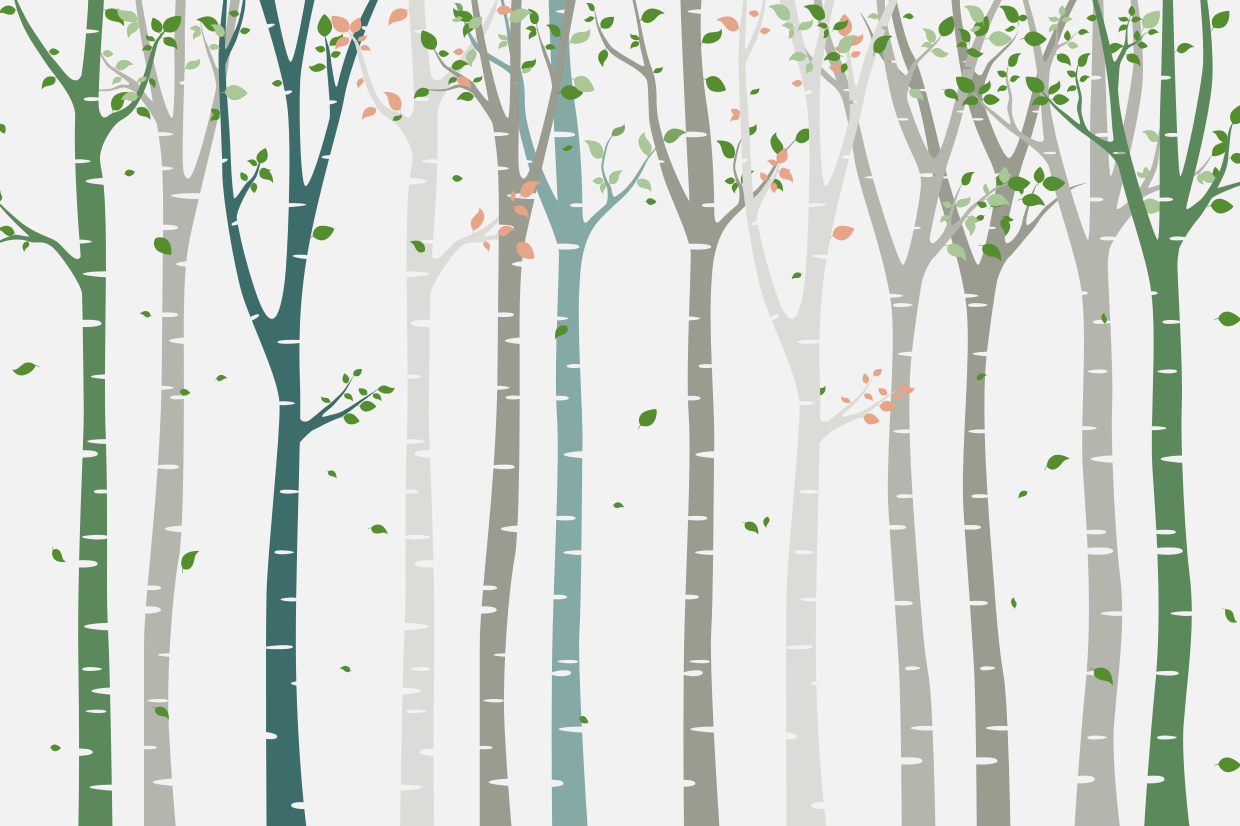Birch Tree Forest With Creative Colors Nature Template | Square Signs