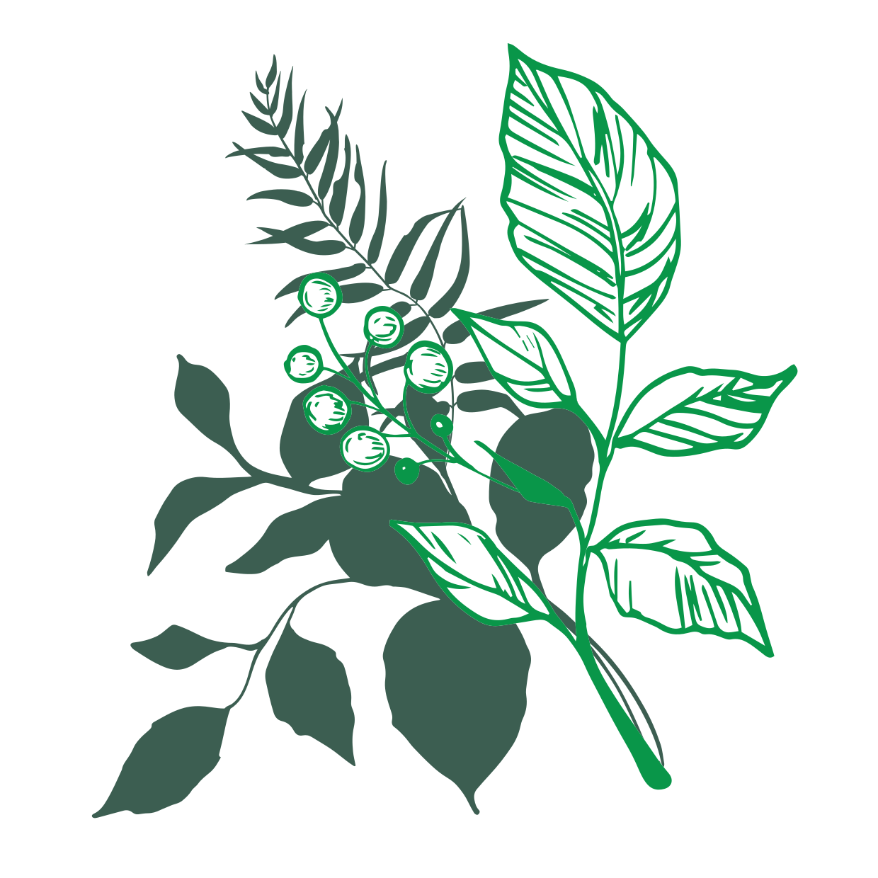 Spring Leaves and Ferns Natural Element Sign Template | Square Signs