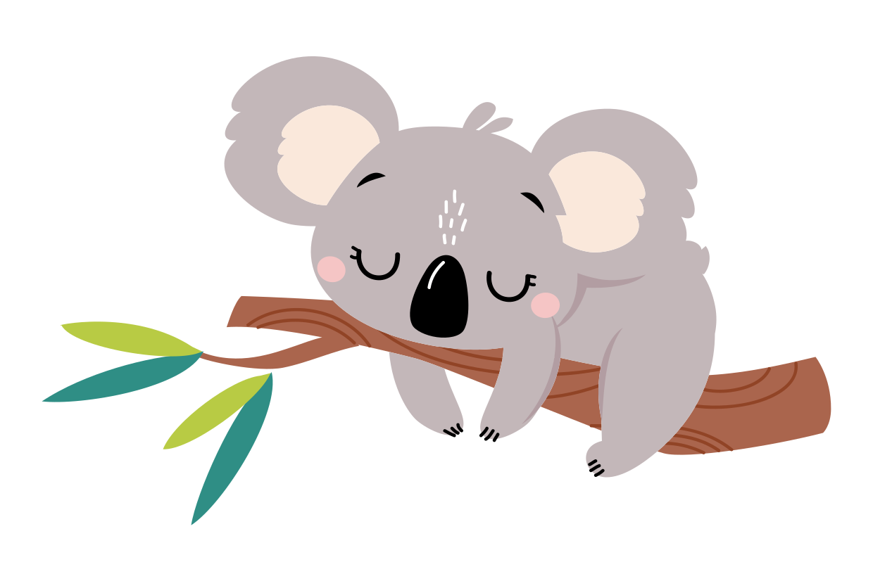 Koala Sleeping on a Branch Sign Template | Square Signs
