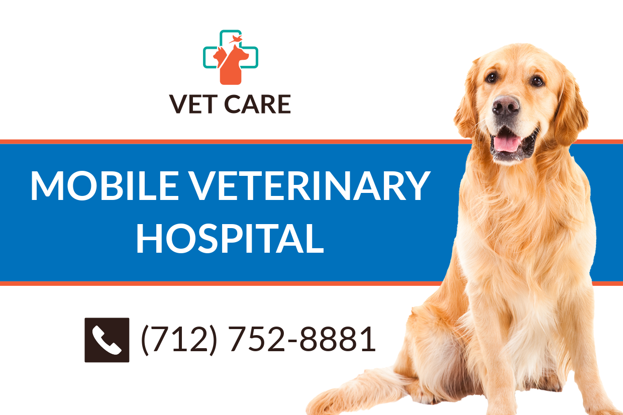 Mobile Veterinary Hospital Services With Dog Photo Template | Square Signs