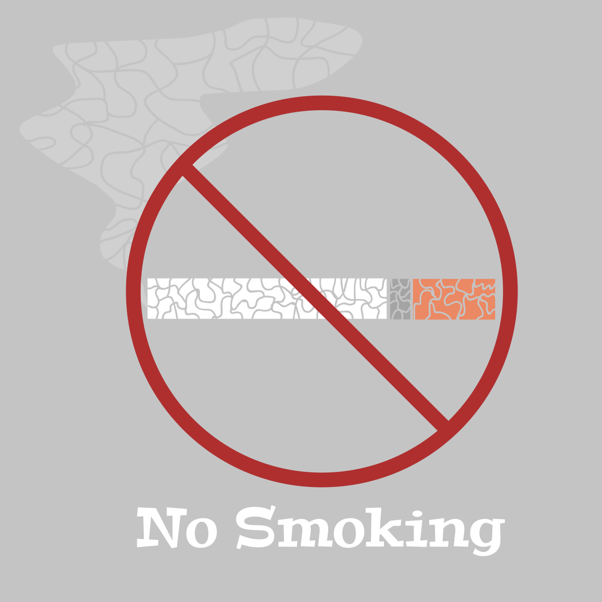 No Smoking Red Prohibition Mark on Cigarette Sign Template | Square Signs