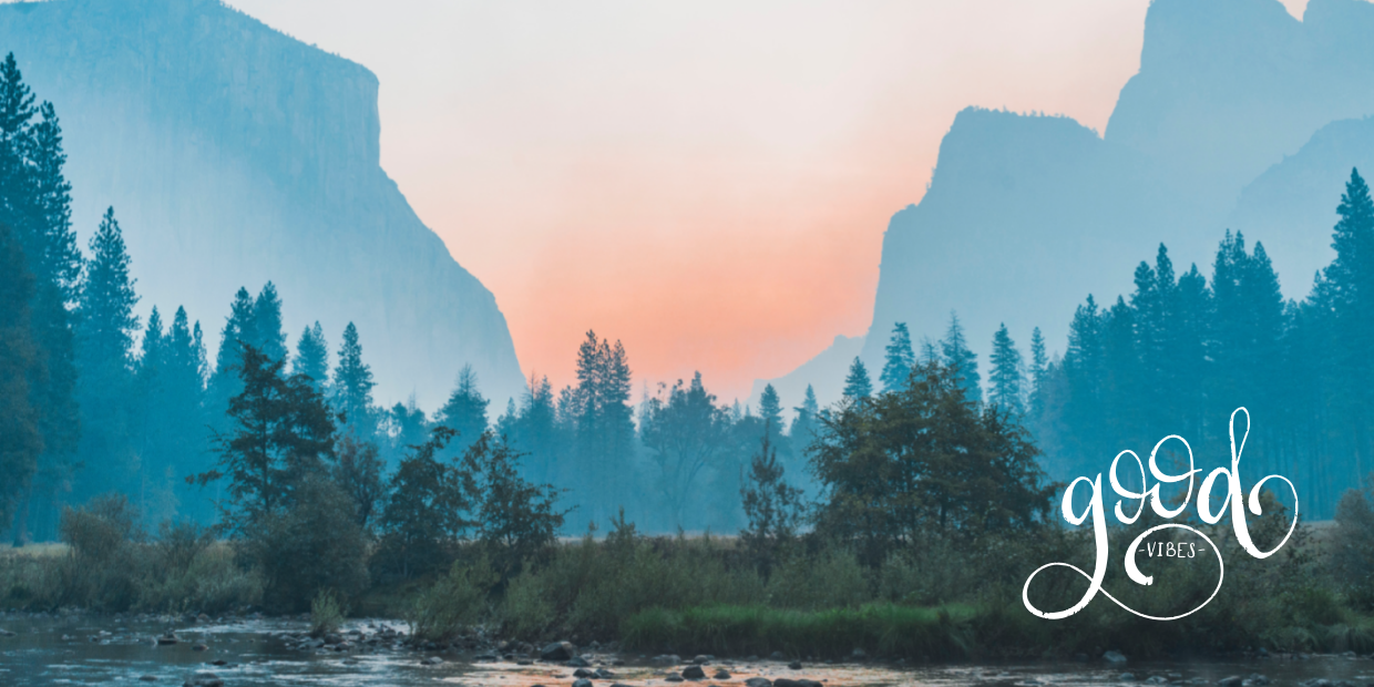Calming Forest Landscape at Sunset Sign Template | Square Signs
