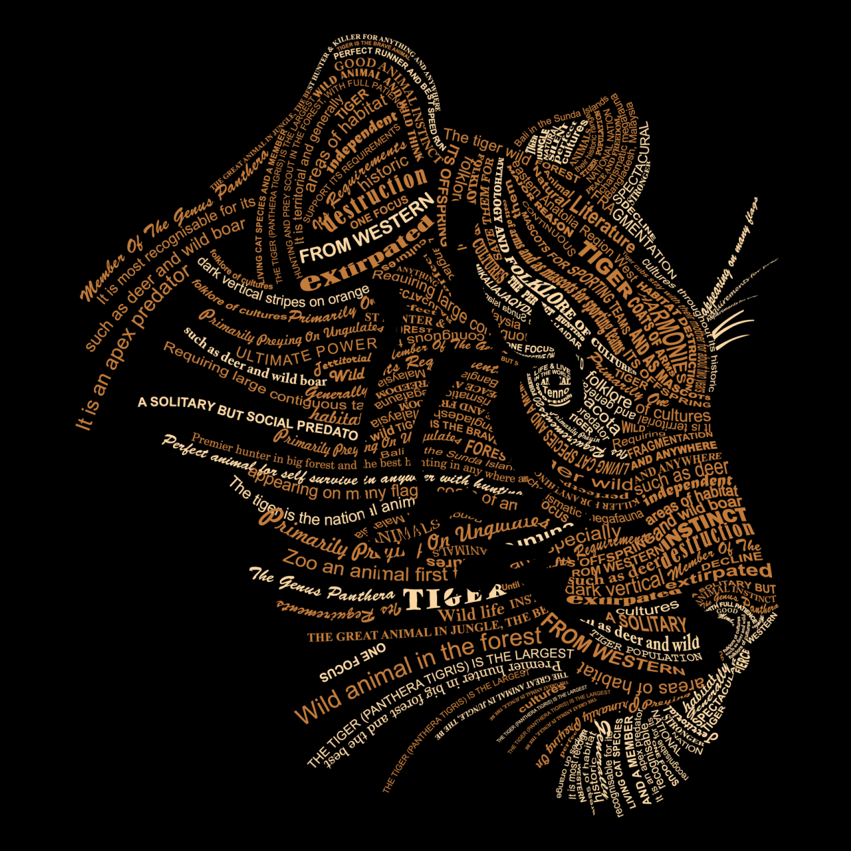 Typographic Orange Tiger Head Sign Template | Square Signs